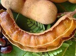 Tamarind long Kerala| Imalee | Valan puli seed less 1 kg : Amazon.in ...