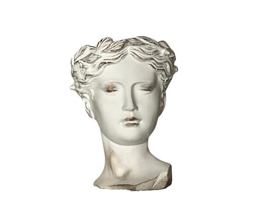 Amazon.com: Greek Goddess Venus Head Planter - Female Statue Planter ...
