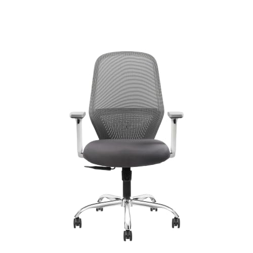Pyramid Ergonomic Office Chair with Mesh Back, Adjustable Armrests ...