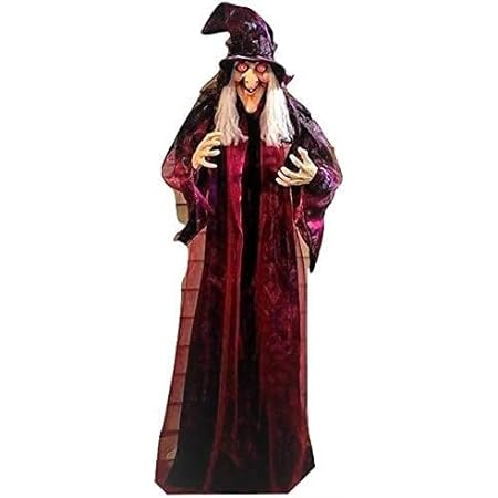Amazon.com: Haunted Hill Farm Brown Animatronic Talking Hunchback Witch ...