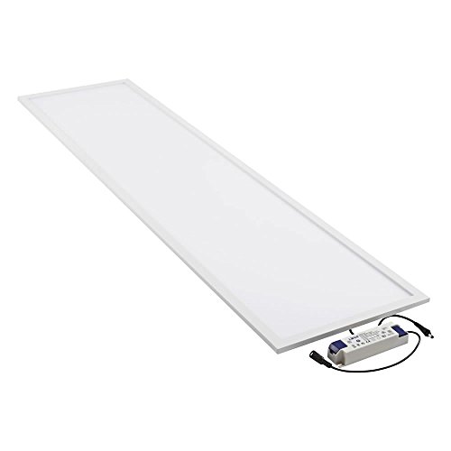 Biard 40W LED Panel Light 300 x 1200mm Natural or Cool White - 5 Years ...