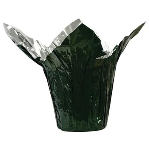 Amazon.com : Queen of Wrap Premium 6" Floral foil Plant Pot Covers - 5 ...