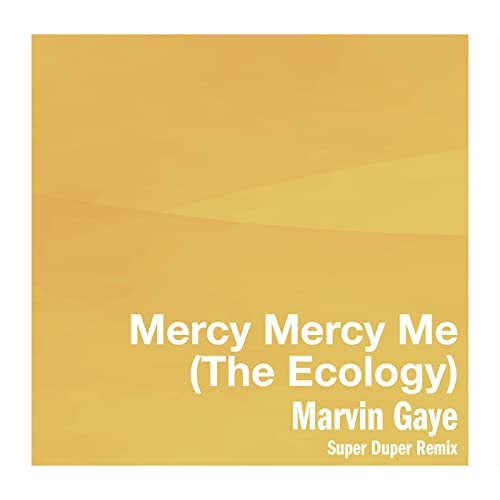 Mercy Mercy Me (The Ecology) (Super Duper Remix) by Marvin Gaye on ...