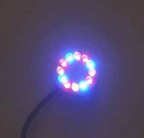 Amazon.com : 12 LED Multi-color Ring Light - Automatic Color Changing ...