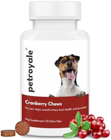 Petroyale Cranberry Chews for Dogs - Dog UTI Health Supplement - Better ...