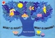What's Right, What's Wrong: Sigrun Srivastav: 9788123710747: Amazon.com ...