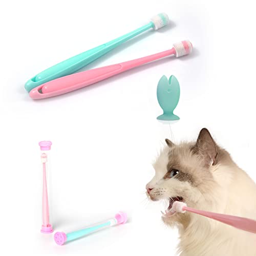 Cat Toothbrush – The 15 best products compared - Wild Explained