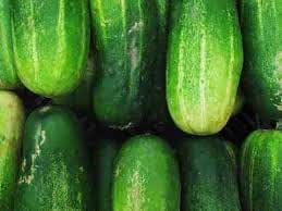 Amazon.com : Saavyseeds Sugar Crunch Bush Cucumber Seeds - 35 Count ...