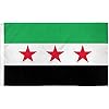 Amazon.com : Syrian (Republic) Flag 3x5ft Poly - INTERNATIONAL FLAGS ...