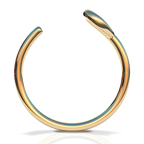 Ochse mit Nasenring – Die 16 besten Produkte im Vergleich