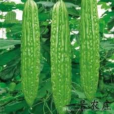 FarmCrane, Vegetable Seeds Karela Seeds - Bitter Gourd Plant Seeds Herb ...