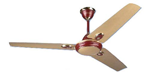 Remi Electric 1200mm Ceiling Fan (Wine Red/Gold) : Amazon.in: Home ...