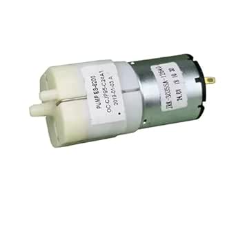 Amazon.com: Car Air Pump DC 24V Mute Atmospheric Massage Appliance ...