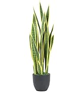Amazon.com: Worth Garden 4ft Artificial Areca Palm Plant, Fake Cane ...