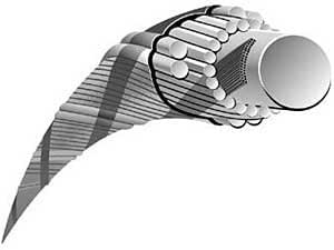 Amazon.com: Prince TOPSPIN 15L w/DURAFLEX Tennis String Reel : Sports ...