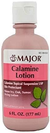 Amazon.com: Calamine Drying Lotion Topical Suspension USP Skin ...