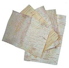 Hari Har Exim Bhojpatra Sheet Bhoj Patra Tree Bark Original Pack of 5 ...
