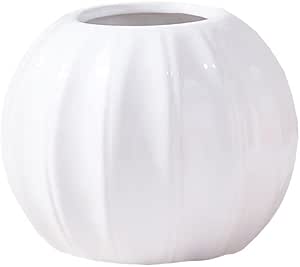 Amazon.com: WAIT FLY Creative Pumpkin Shape Ceramic Vase for Flower Dry Flower Hydroponic ...