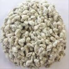 Cotton Seeds| Paruthi Seeds| Paruthi Kottai(Paruthi Pal) - 500g ...