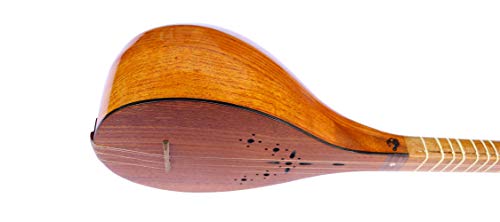 Persian Quality Setar String Musical Instrument NS-207 - Ethnica ...