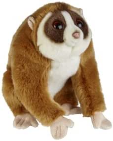 Ravensden SLOW LORIS Plush Soft Toy FRS004LO 28cm : Amazon.co.uk: Outlet