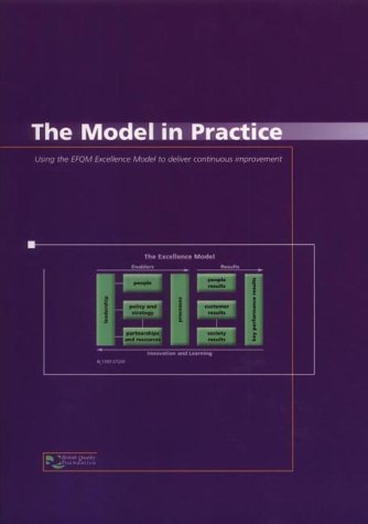 The Model in Practice: Using the EFQM Excellence Model to Deliver ...