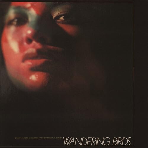 Amazon.com: Wandering Birds: CDs & Vinyl