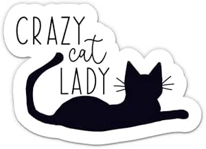 Amazon.com - Crazy Cat Lady Sticker - 3" Laptop Sticker - Waterproof ...