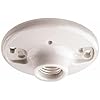 Leviton 9875 Porcelain Outlet Box Mount, Incandescent Ceiling ...