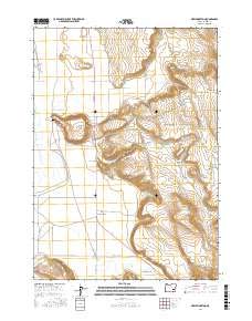Amazon.com: New Princeton, Oregon topo map by East View Geospatial, 1: ...
