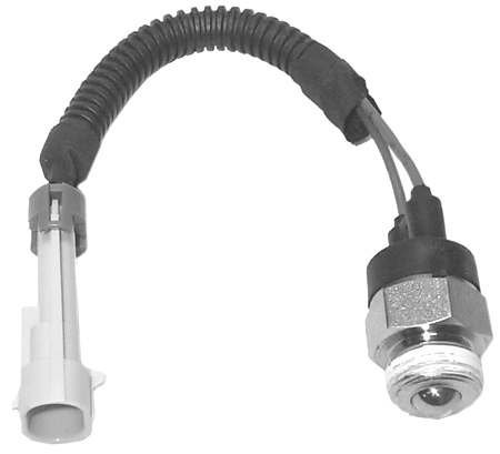 Motorcraft SW-6061 Back-Up Light Switch : Amazon.in: Car & Motorbike