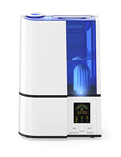 Best Humidifiers Canada – Best Cost
