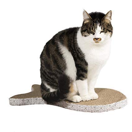 The DDS Store 'Big Fish' Shaped Cat Scratcher and Resting Lounge Pad ...