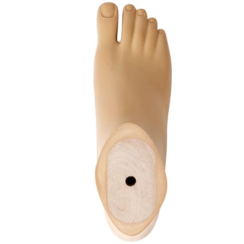 10 Best Prosthetic Foot [2025]