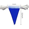 Amazon.com: Consummate 100 Feet Blue Blank Pennant Banners Flags String ...