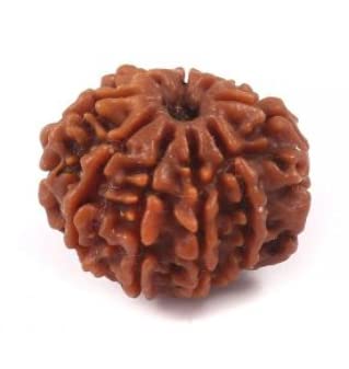Family Jewellery Origin Nepal 9 Mukhi Rudraksha More Expensive Beads ...