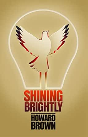 Amazon.com: Shining Brightly: A memoir of resilience and hope by a two ...