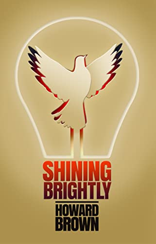 Shining Brightly: A memoir of resilience and hope by a two-time cancer ...
