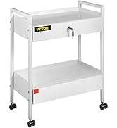 VEVOR Medical Cart, 2-Layer Stainless Steel Cart 220 lbs Weight ...