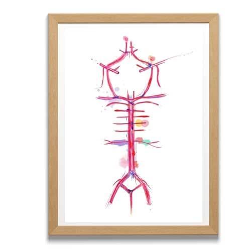Amazon.com: MEDPAPERS Circle of Willis Poster Neurology Art Neurologist ...