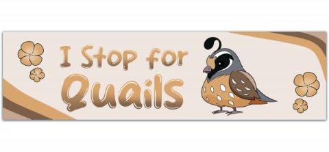 Amazon.com: Quail Bumper Sticker, Quail Sticker, Stickers For Car ...