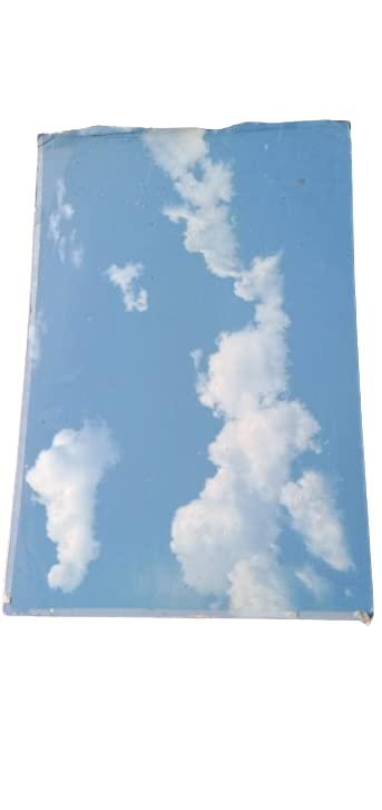 CLOWDY Sky Tiles | PER Square FT 180 | X2 Combo : Amazon.in: Home & Kitchen
