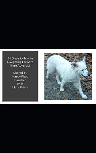 16 Steps to Take in Navigating Forward from AdversityShared by Nancy ...