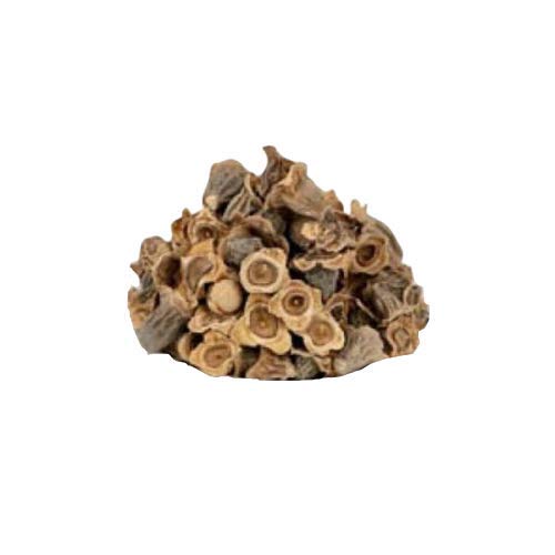 Buy Bay Khumba-Careya Arborea-Vakumbha-Kumbhi-Baikhumba (50 Gms) Online ...