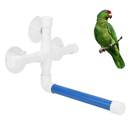 PIES y PERCHAS para Loros 】 PALOS para loros Limauñas y Java