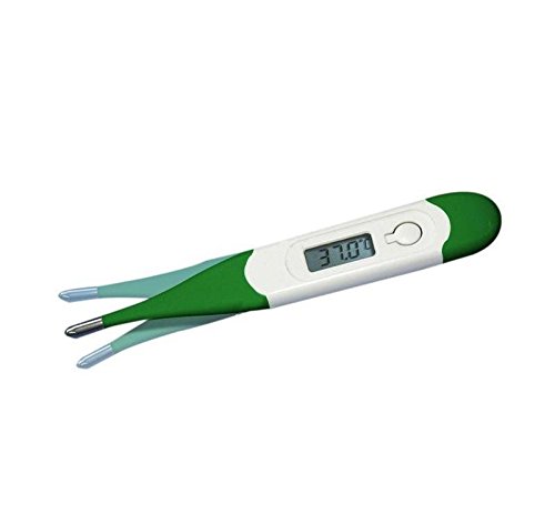 TEMP CHECK DIGITAL THERMOMETER FLEXI TIP : Amazon.in: Health & Personal ...