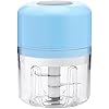 Amazon.com: Electric Ice Grinder, Ice Grinder, Portable Ice Crusher ...