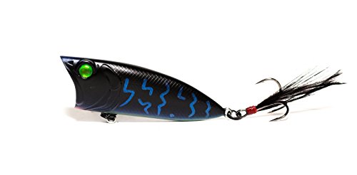 10 Best Popper Lures For Bass + Buying Guide – All Fishing Gear