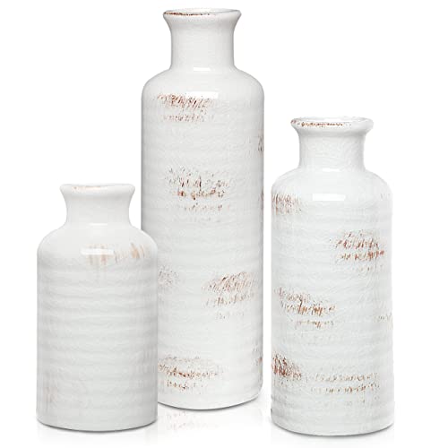 Gioyonil Ceramic Vase Set: 3 Small Vases for Flowers Pampas Grass ...