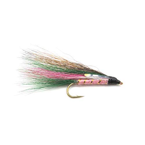 Amazon.com: Little Rainbow Trout Streamer - Streamer Flies for Trout ...